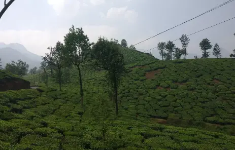 23 must-visit places to visit in Kozhikode - Adequate Travel