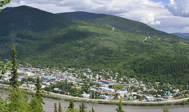 How can I support organizations working to protect Canada's boreal forests?