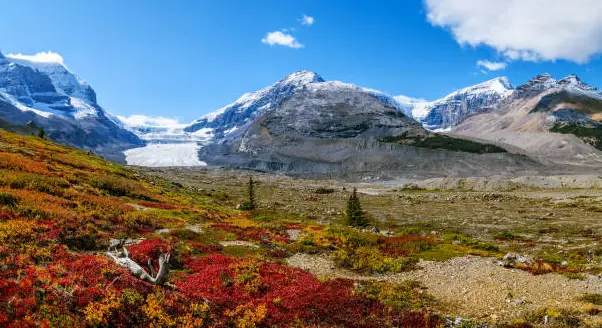 What is the current state of glaciers and icefields in Canada?