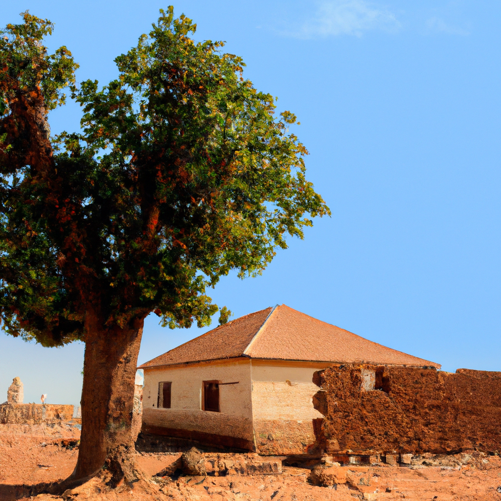 Aulad Senegal In Senegal: History,Facts, & Services