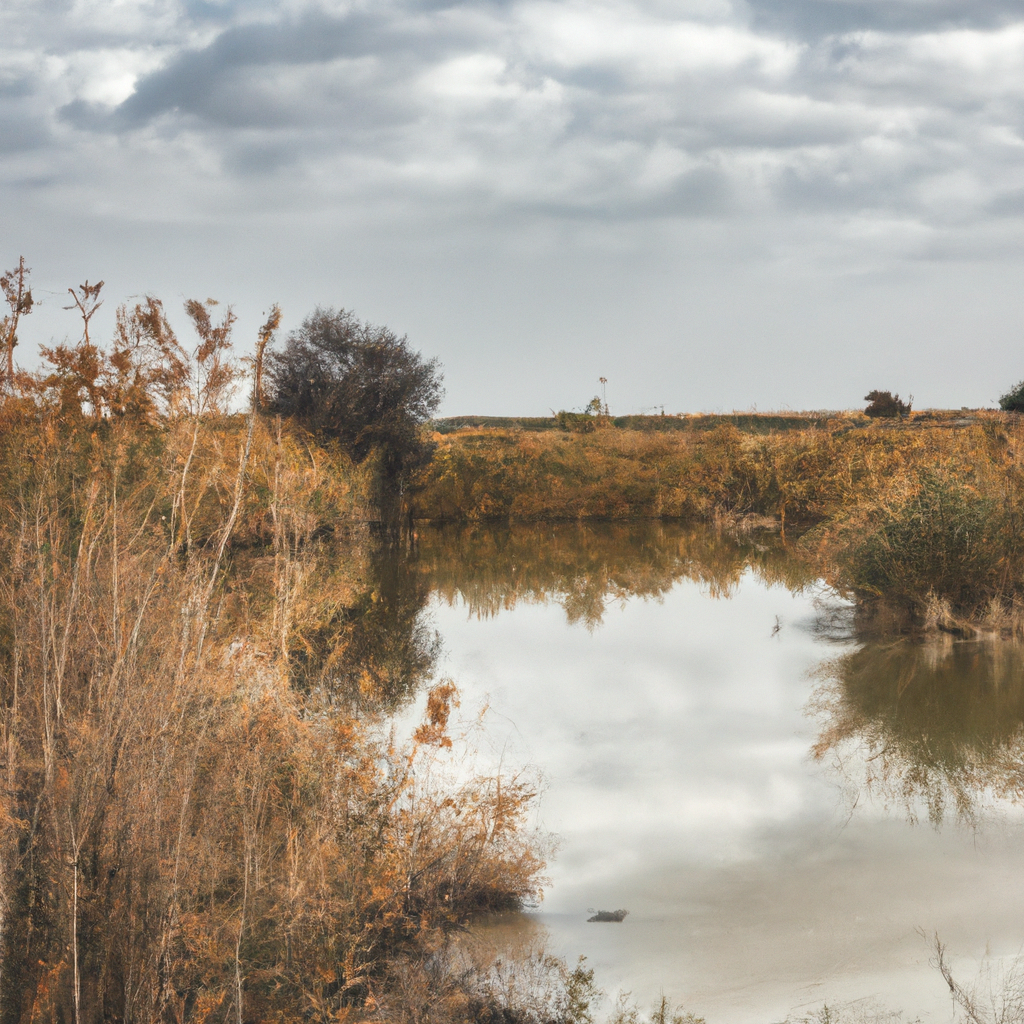 Azraq Wetland Reserve In Jordan: Overview,Prominent Features,History ...