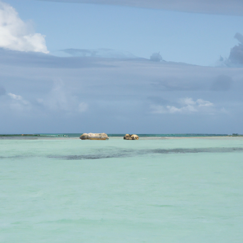 Cades Reef In Antigua-and-Barbuda: Overview,Prominent Features,History ...
