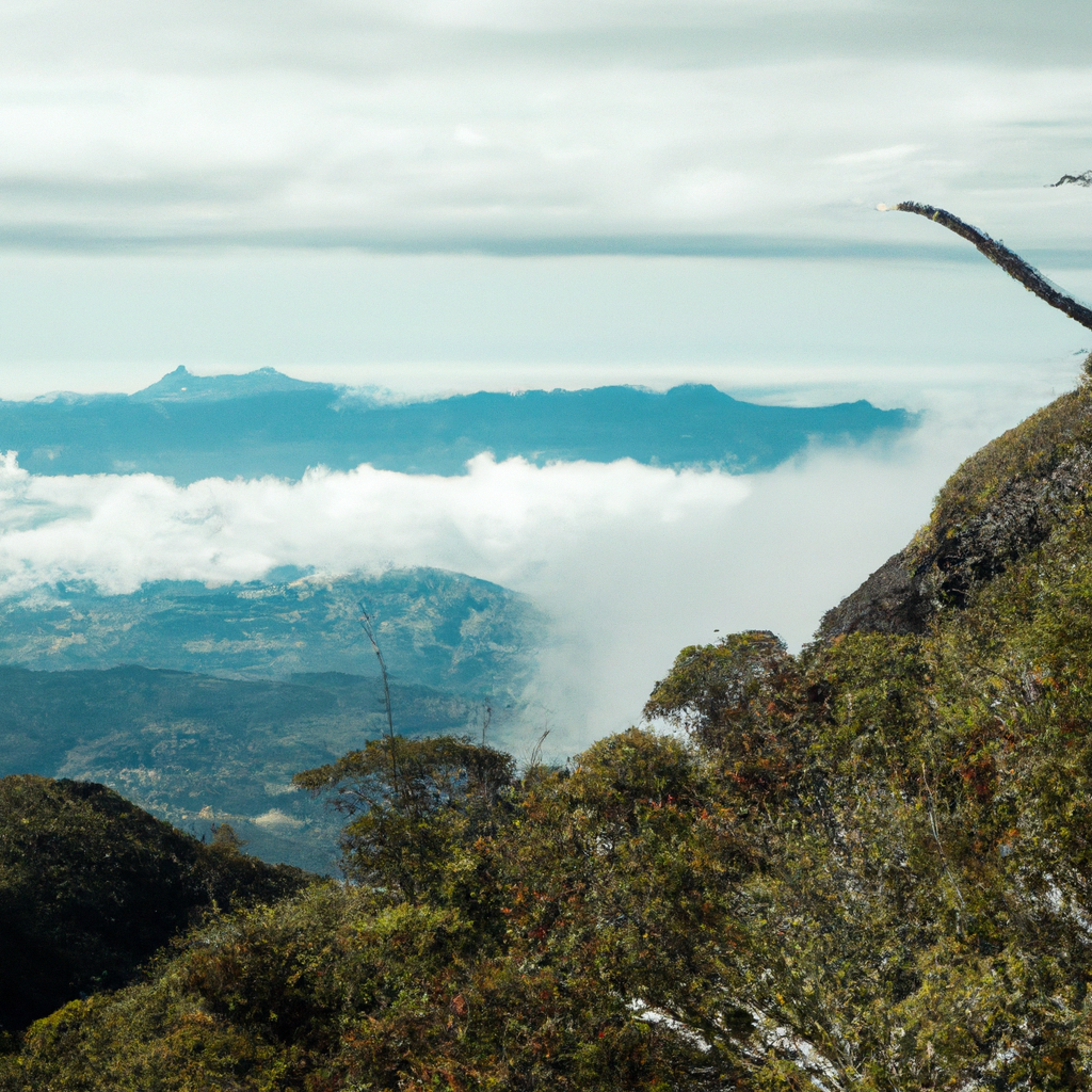 Piedras Blancas National Park - Puntarenas In Costa-Rica: Overview ...