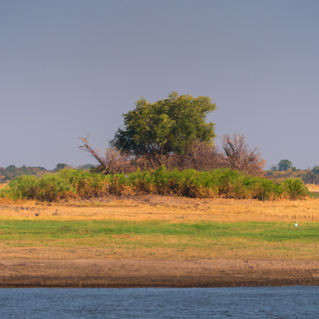 Khama Rhino Sanctuary In Botswana: Overview,Prominent Features,History ...