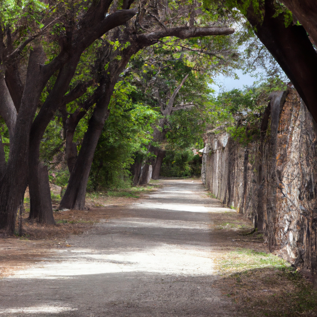 Fig Tree Drive In Antigua-and-Barbuda: Overview,Prominent Features ...