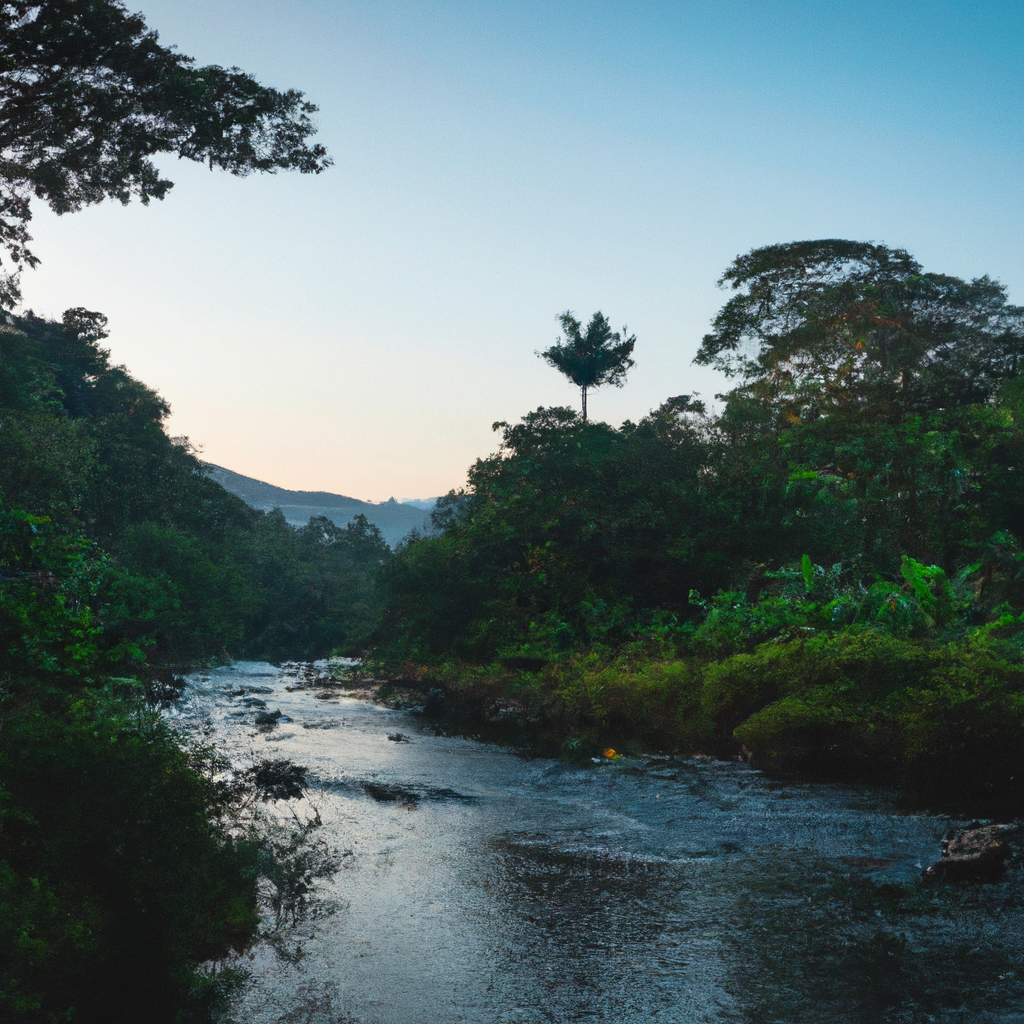 Los Katios National Park - Choco In Colombia: Overview,Prominent ...