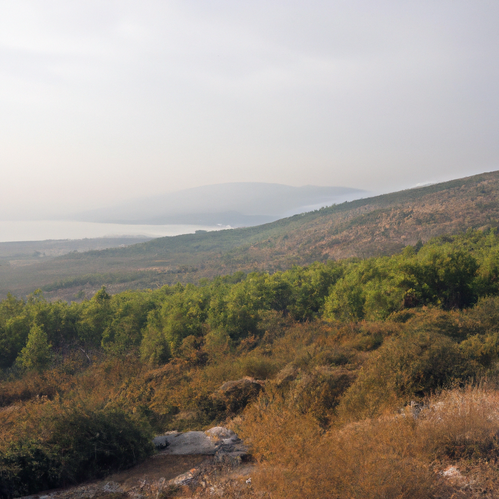 Mount Ida in Canakkale In Turkey: Overview,Prominent Features,History ...