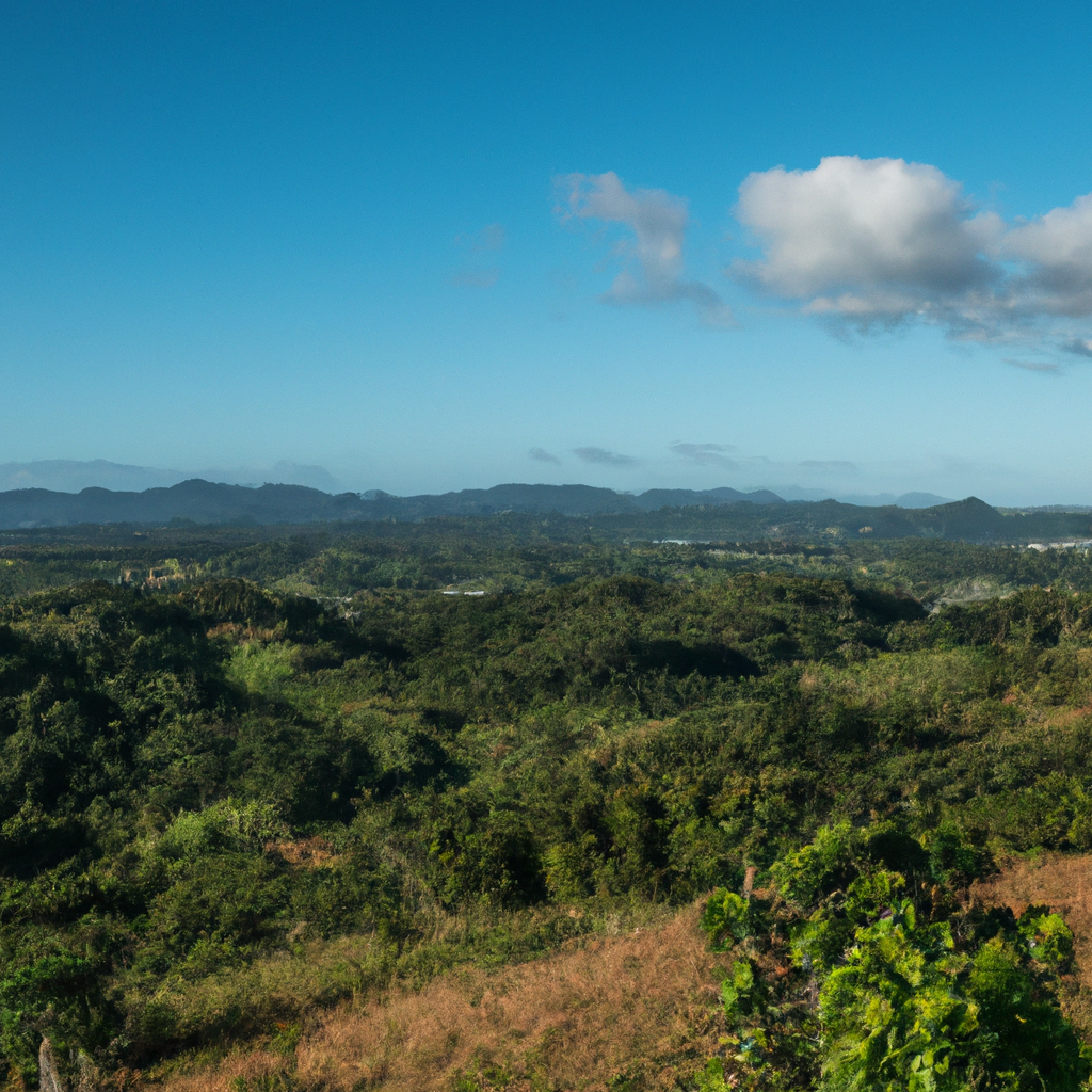 Parque Nacional Sierra de Neyba, Bahoruco In Dominican-Republic ...