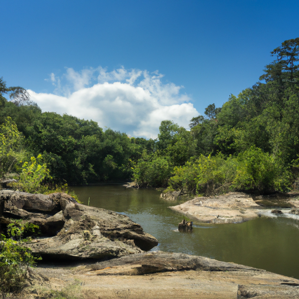 Sweetwater Creek State Park In USA: Overview,Timings, & Activities