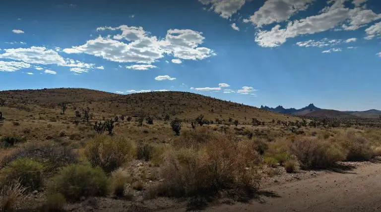 Top Most Famous National Monuments in California