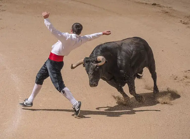 Discover Why Spain is Famous For | What is Spain Known For