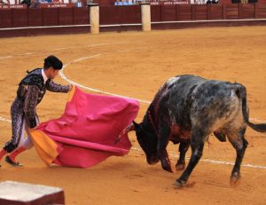 Complete Guide to Bullfighting in Spain