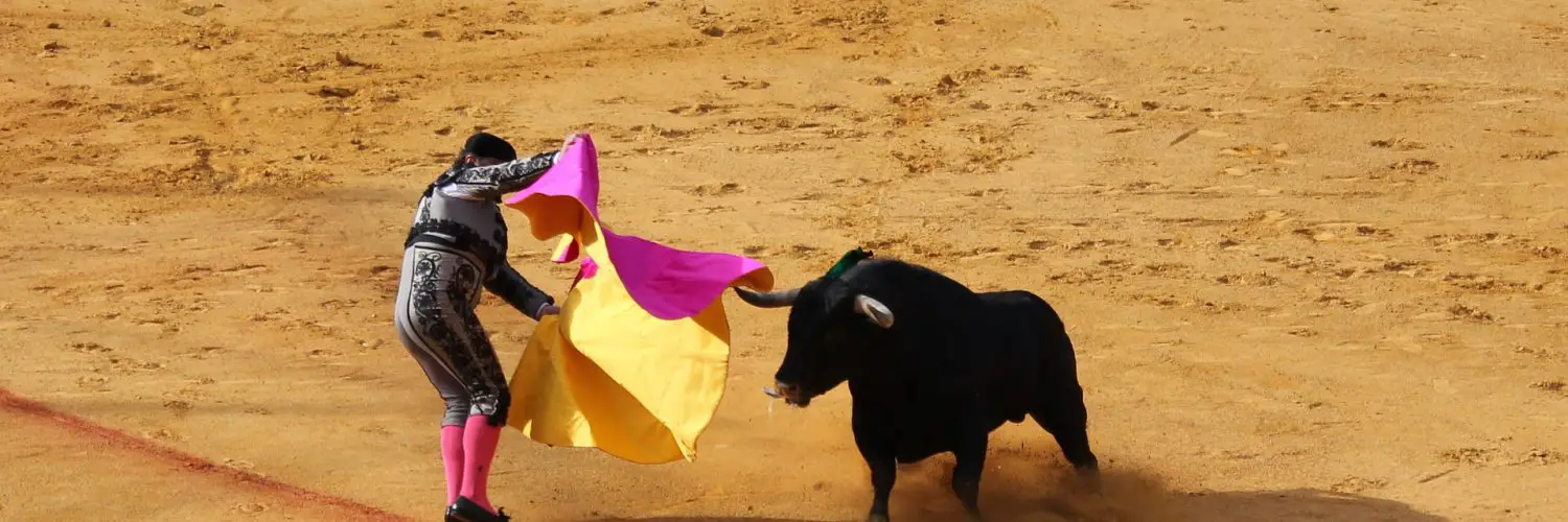 Complete Guide to Bullfighting in Spain