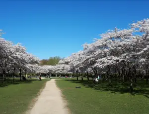 10 Best Beautiful Parks and Gardens in Amsterdam