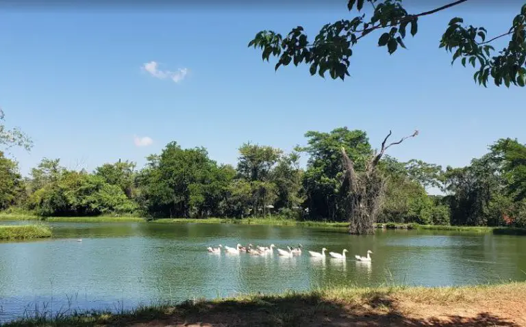 Best Cities to Visit in Paraguay | Major Cities in Paraguay