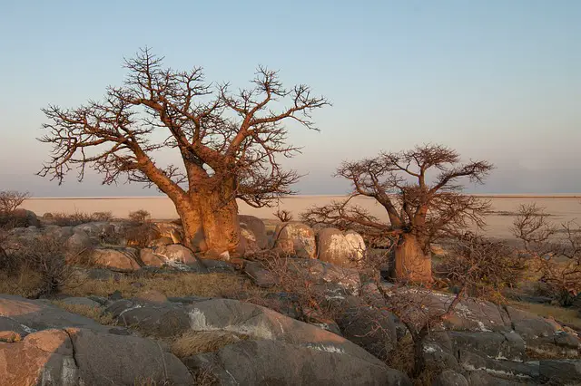 Most Visited Monuments in Botswana | Famous Monuments of Botswana World ...