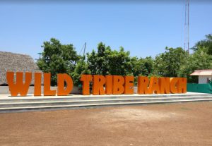 Top Theme Parks in Chennai | Popular Amusement & Water Parks in Chennai