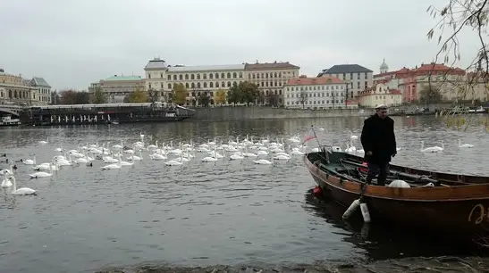 Top 8 Beautiful Beaches in Prague | Best Beaches in Prague