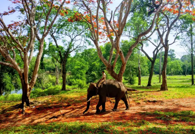 Top Things to Do in Coorg This Monsoon | Monsoon in CoorgWorld Tour ...