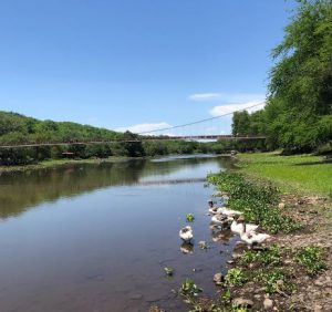 Top 10 Famous Rivers in Mexico