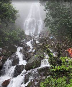 Popular and unusual waterfalls in Goa that you must visit once!