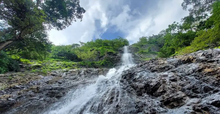 Popular and unusual waterfalls in Goa that you must visit once!