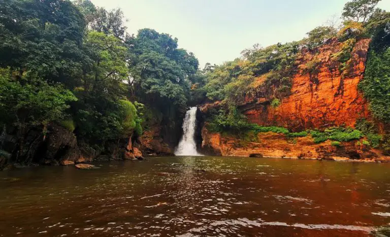 Popular and unusual waterfalls in Goa that you must visit once!