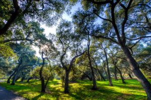 Things To Do In Los Angeles With Kids | LA With Kids