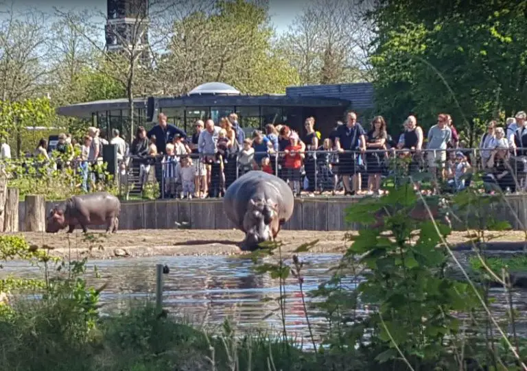 Top 10 Things to do in Denmark | What to do in Denmark