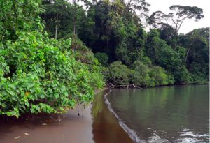 Best Cities, Towns in Cameroon to Visit | Major Cities in Cameroon