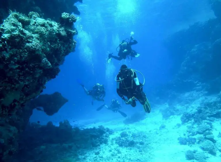 Best Scuba Diving Destinations in Spain I Spanish Scuba Diving Information