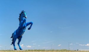 Discover Why Denver is famous? | What is Denver Known For