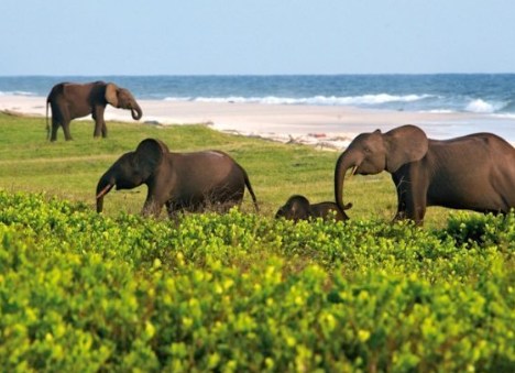 Most Visited Monuments in Gabon l Famous Monuments in Gabon