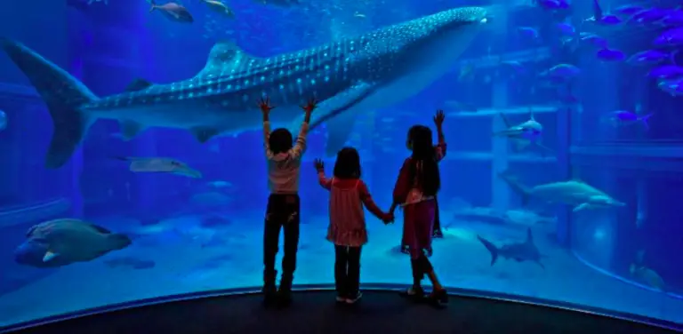 Discover What Osaka is Known For | Why is Osaka Famous for?