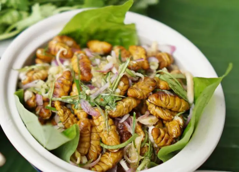 17 Bizarre and Weird Foods in China That People Love to Eat