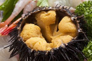 The 15 Unusual and Weirdest Foods In Japan
