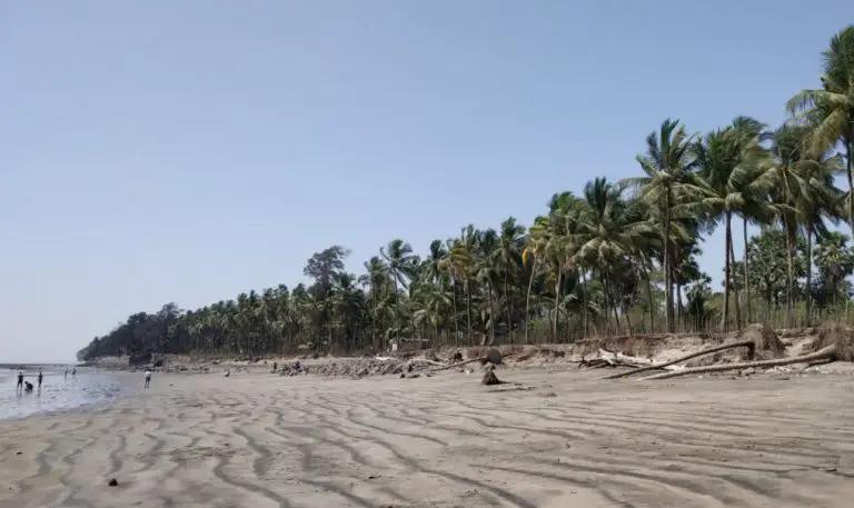 Top 10 Best Beaches in Mumbai For Locals & Tourists Alike