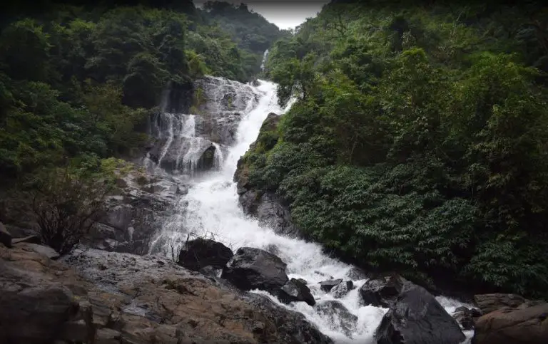 Popular and unusual waterfalls in Goa that you must visit once!