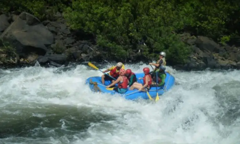 An exciting list of things to do in your Goa tour